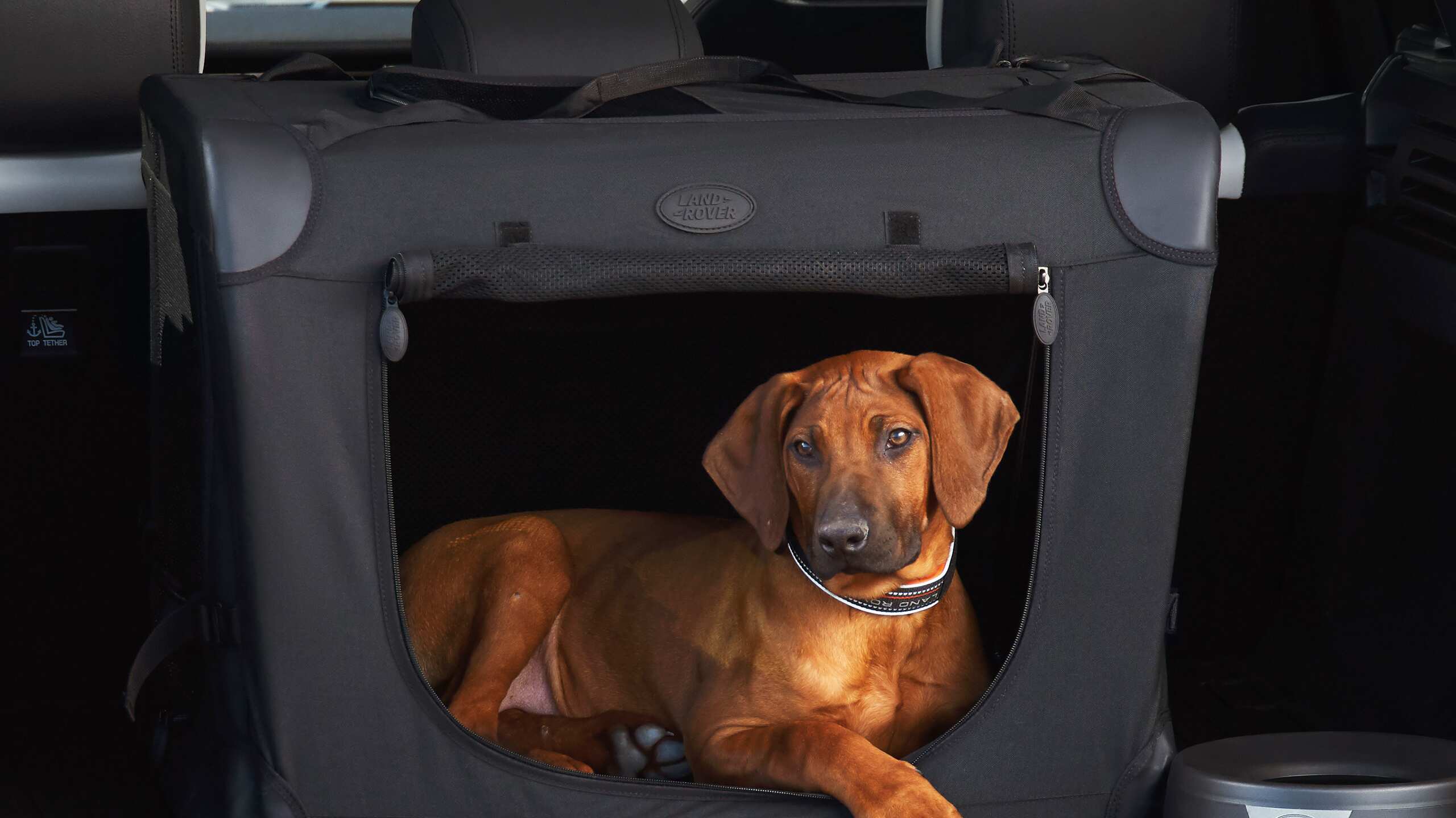 Range Rover, Discovery & Defender Pet Accessories