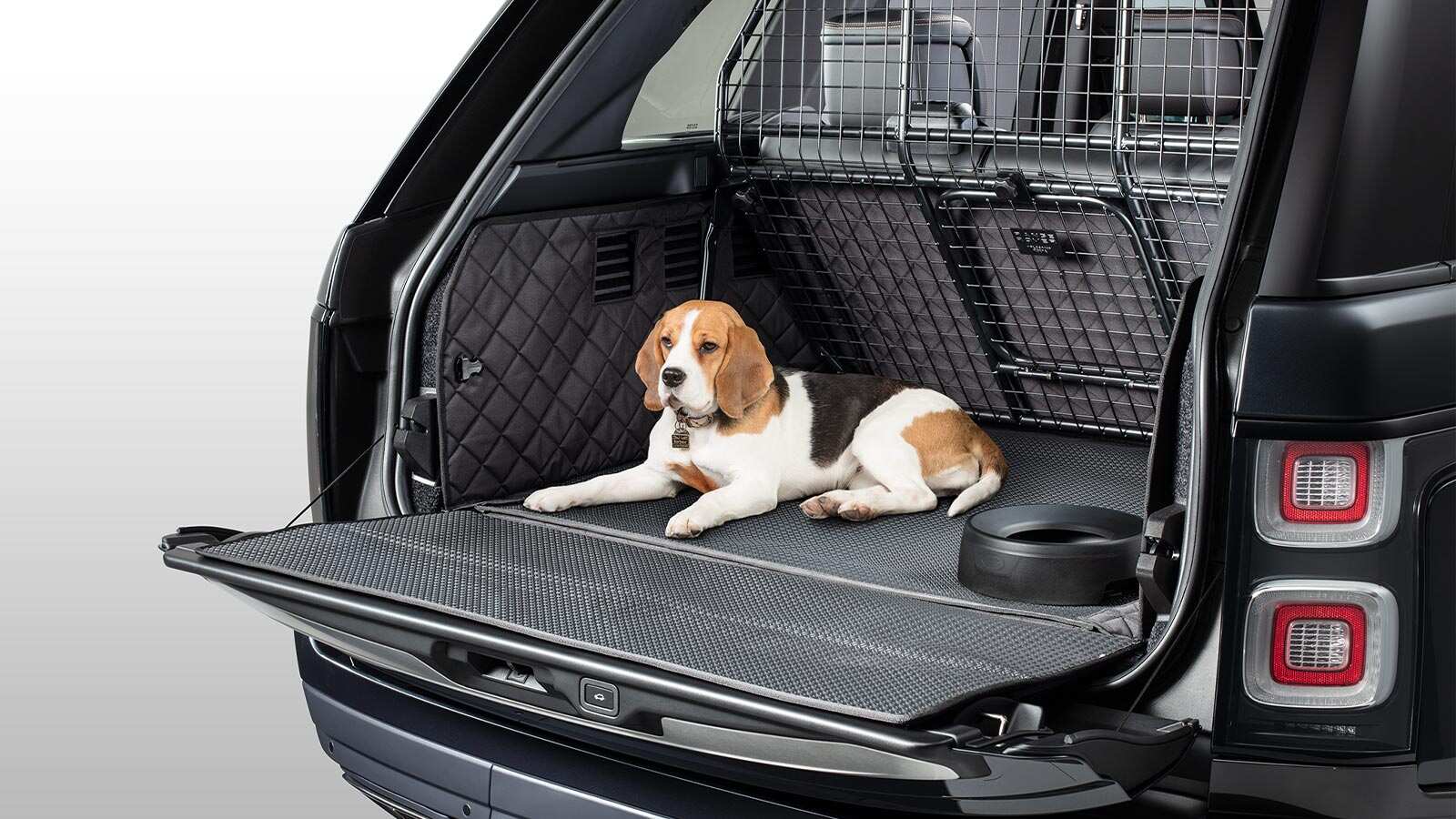 Pet Accessories - Ownership - Land Rover UK