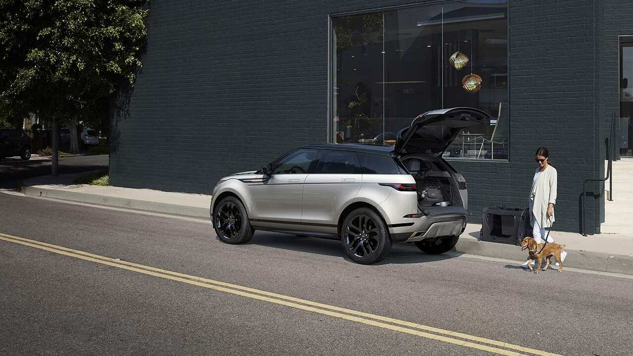 Pet Accessories - Ownership - Land Rover UK