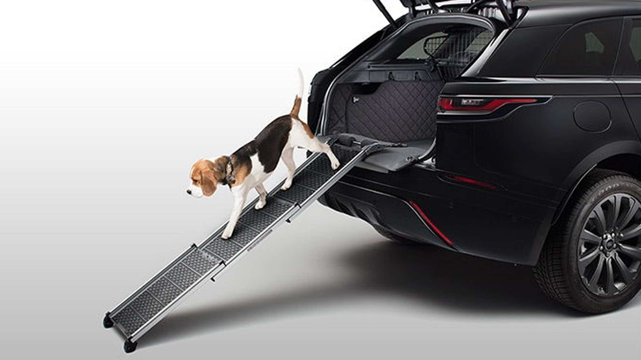 Pet Accessories - Ownership - Land Rover UK