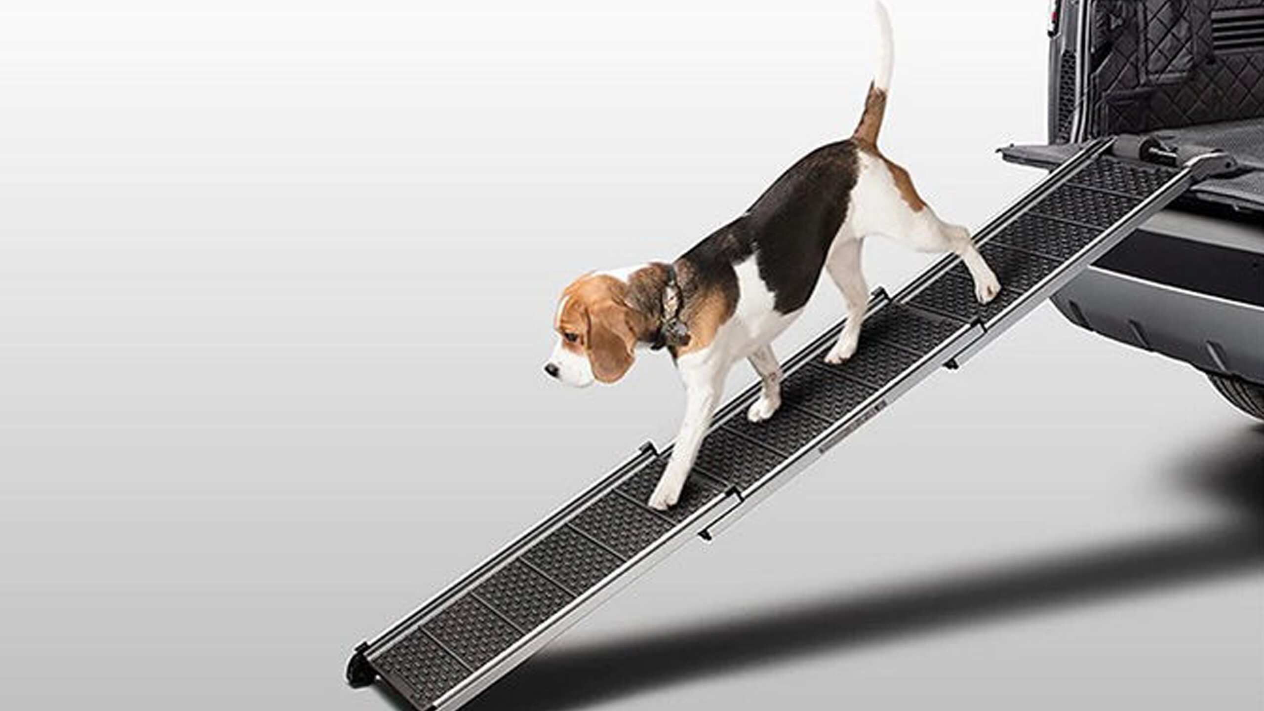 Pet Accessories - Ownership - Land Rover UK